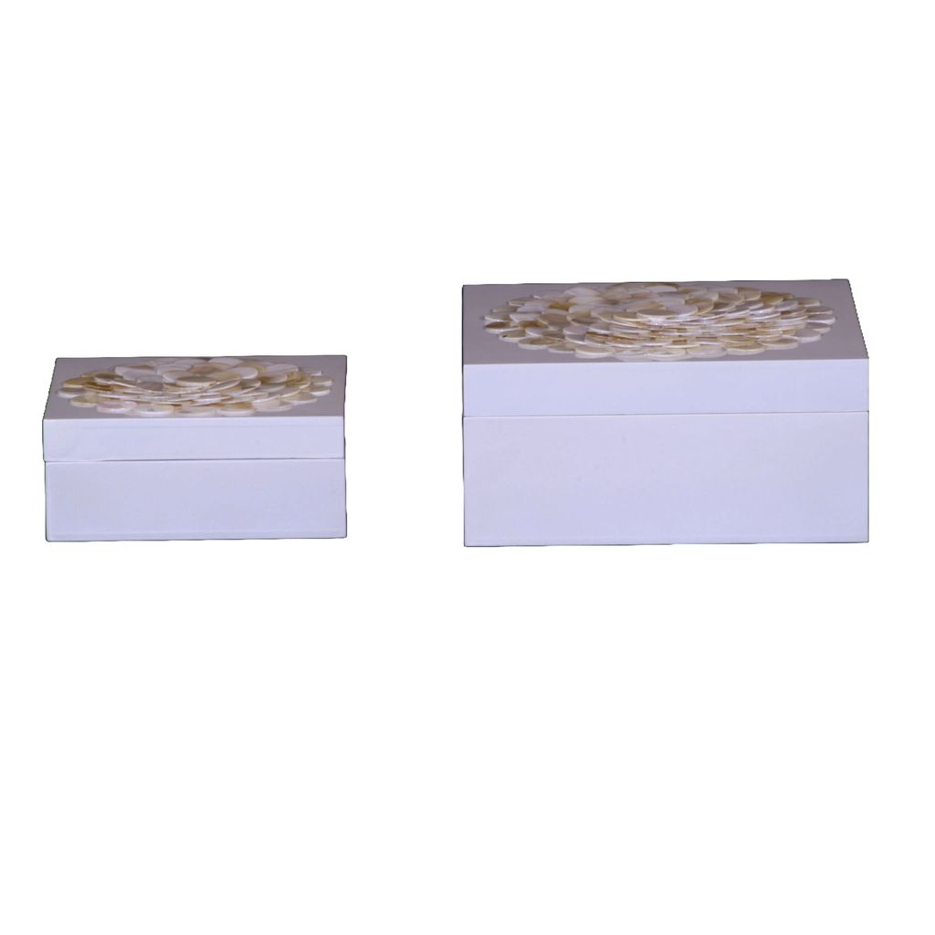 Shell Covered Boxes – Kennedy Galleries